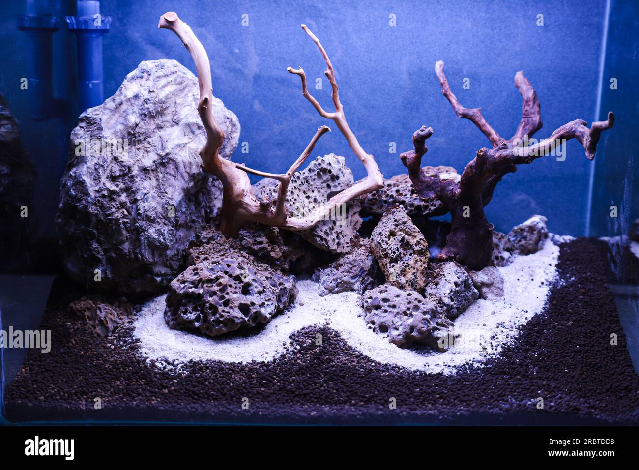 arrangement of rasamala wood and lava stones for an aquascape display ...