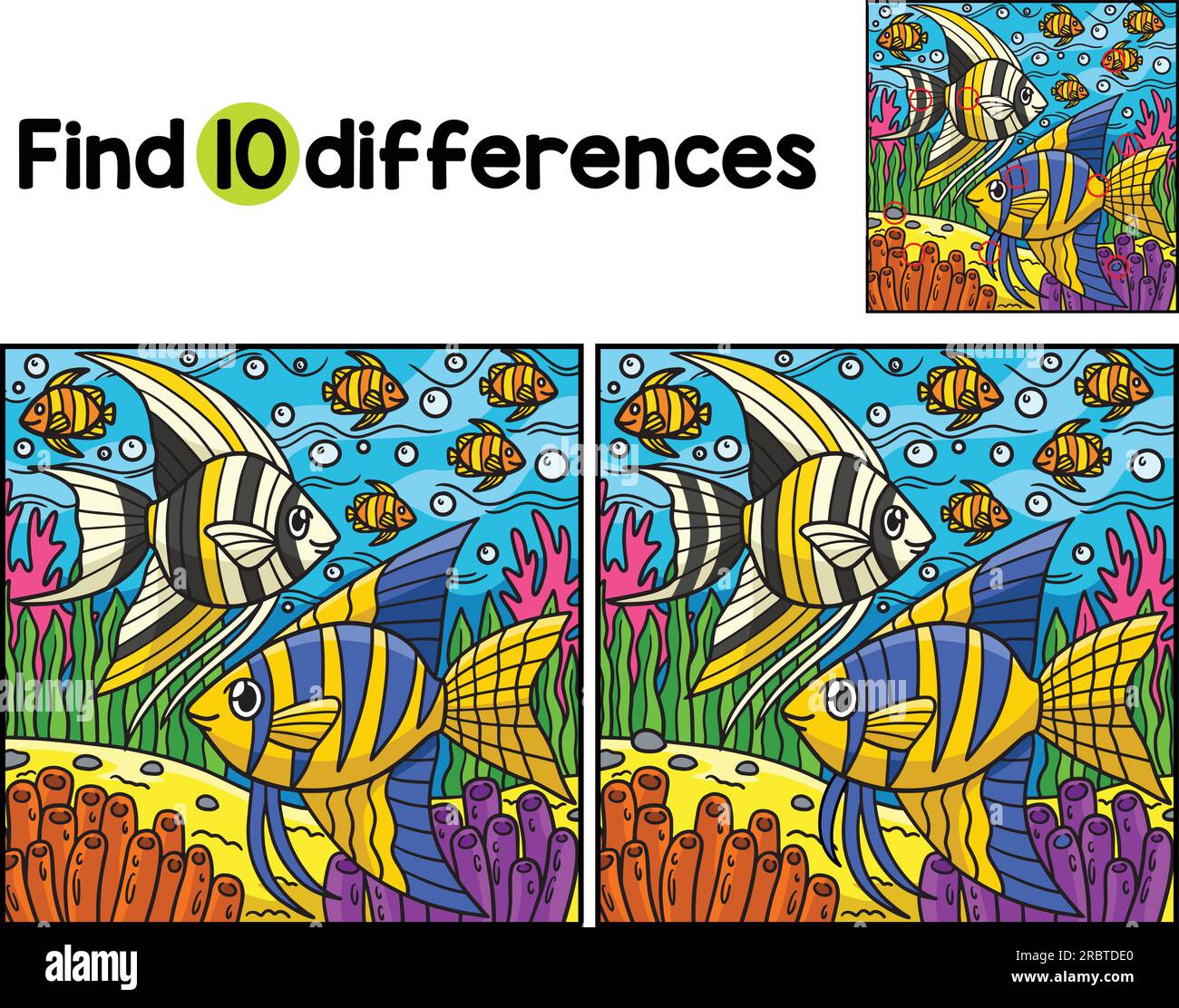 Angelfish Animal Find The Differences Stock Vector Image & Art - Alamy