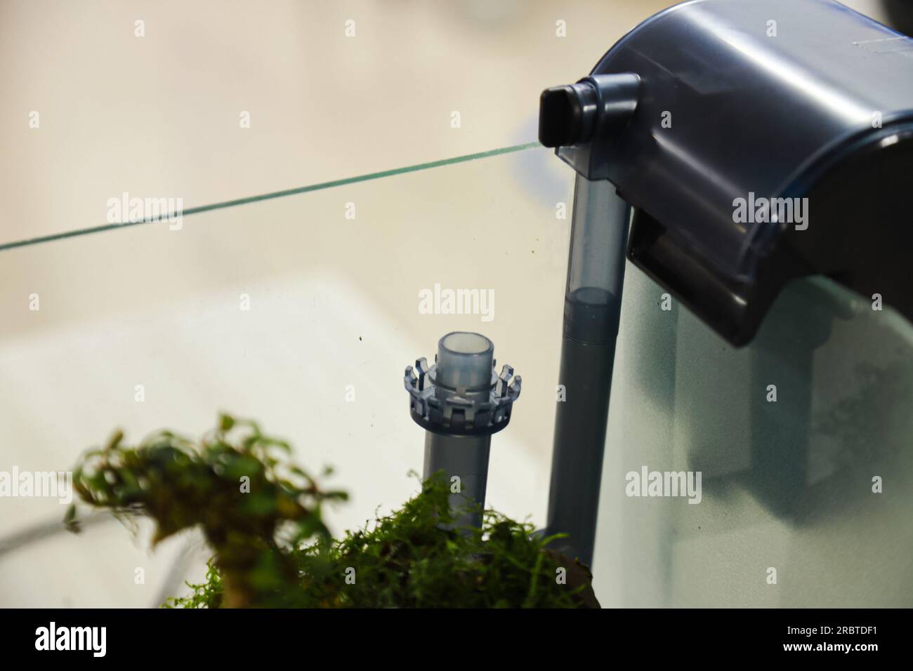 Use a low flow water filter which is suitable for use in aquascapes ...