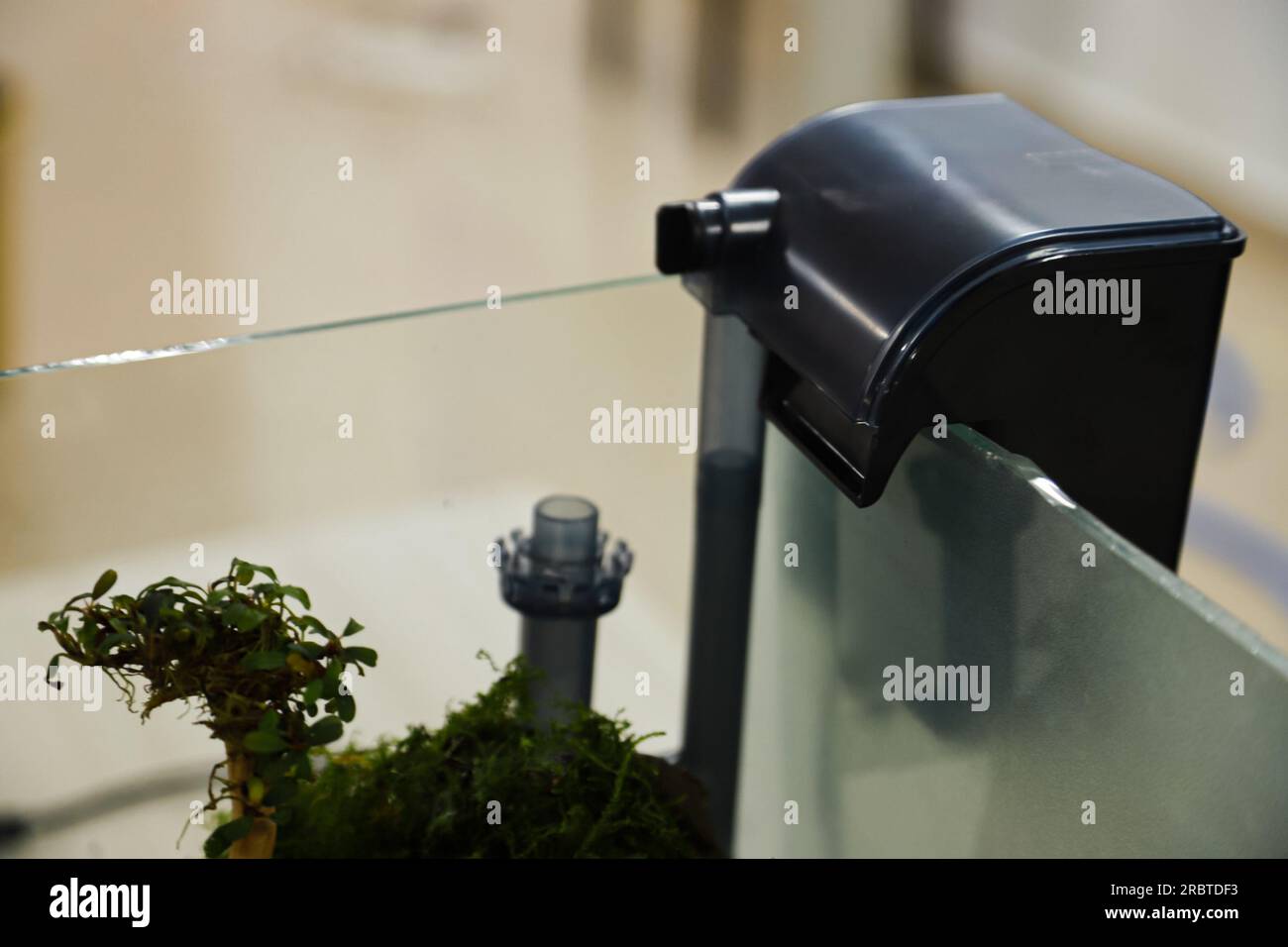 Use a low flow water filter which is suitable for use in aquascapes ...