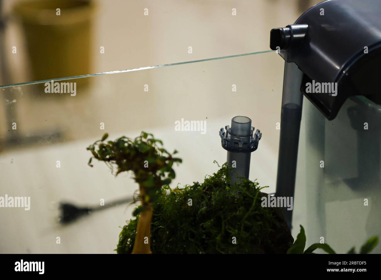 Use a low flow water filter which is suitable for use in aquascapes ...