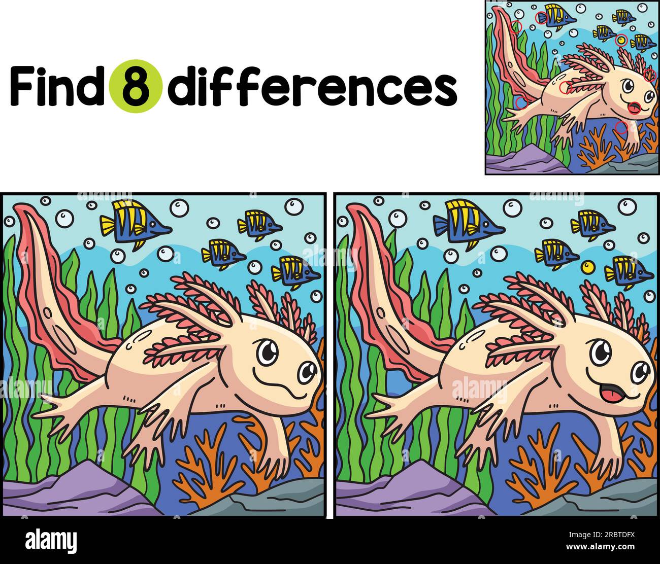 Axolotl Animal Find The Differences Stock Vector Image & Art - Alamy
