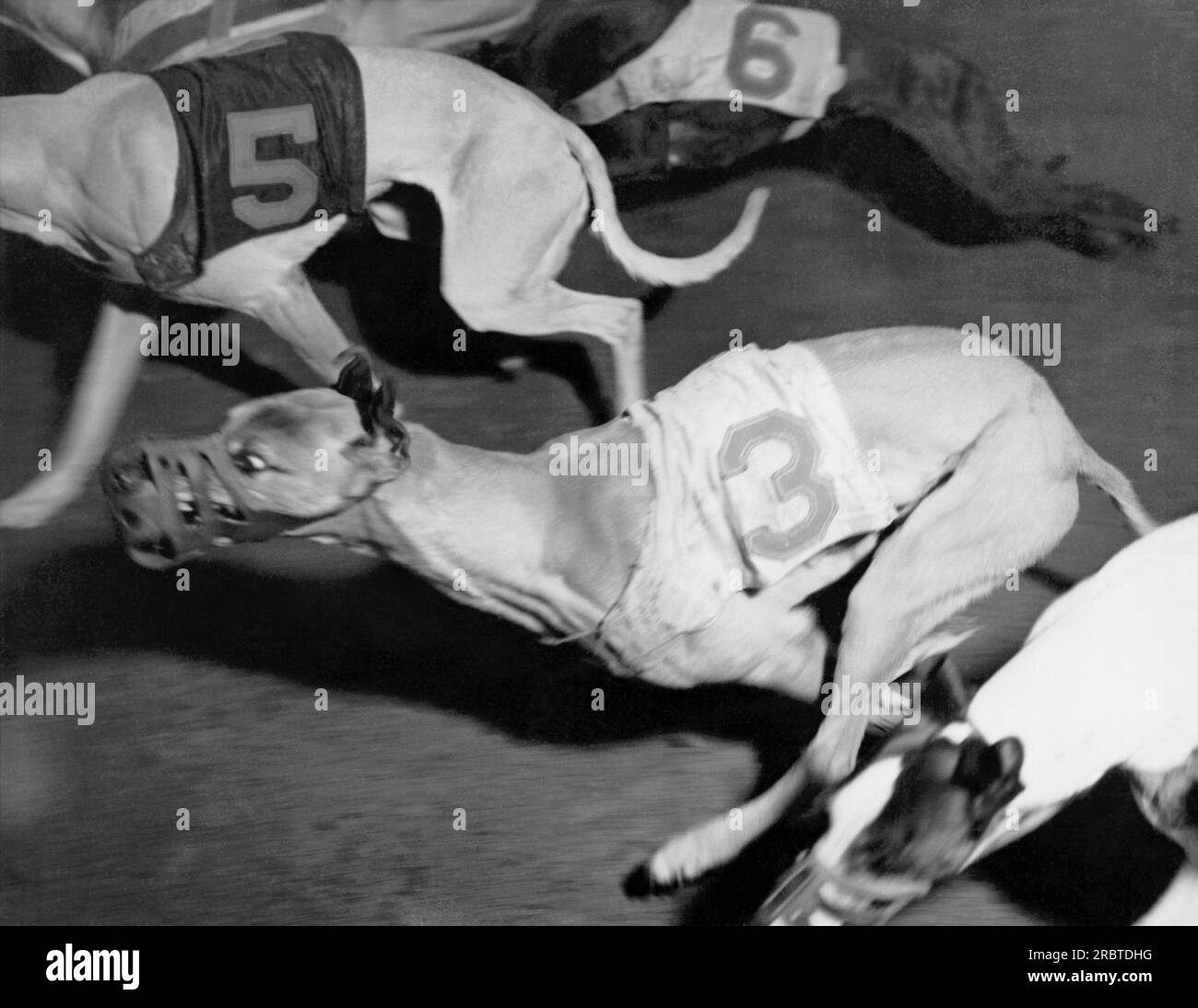 San Francisco, California: January 22, 1937 An action shot at a local ...
