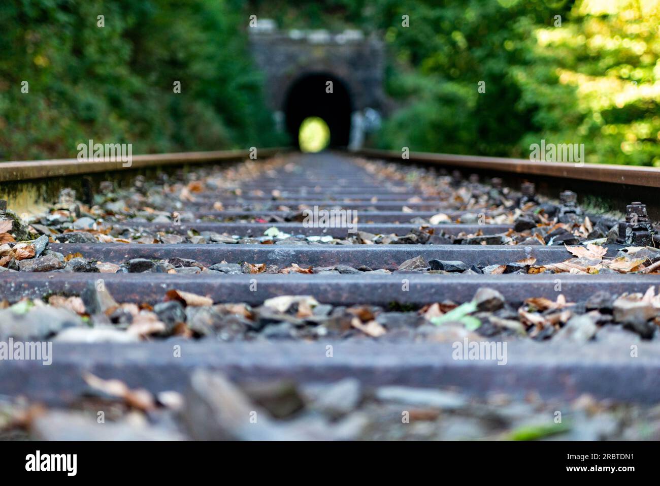 a railway in the spring forest. Tunnel of rails, trees and the railroad ...