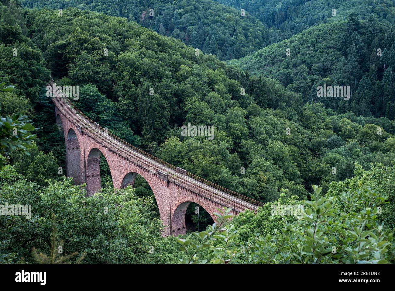 old arch Bridge railway viaduct between hills in the green Forest ...