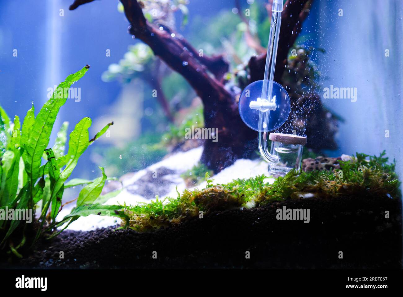 Installed oxygen tank hi-res stock photography and images - Alamy