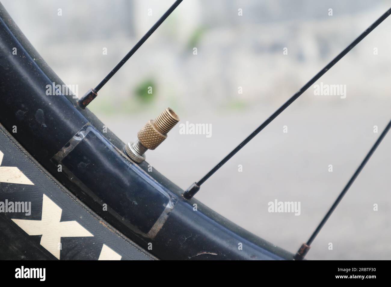 valve cap. wheel inflation valve on a bicycle Stock Photo - Alamy