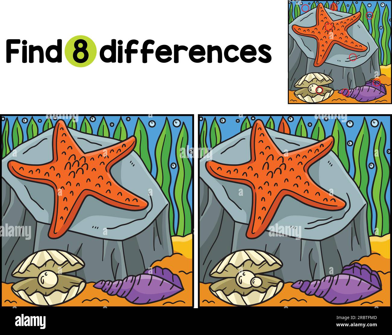 Sea Star Animal Find The Differences Stock Vector Image & Art - Alamy