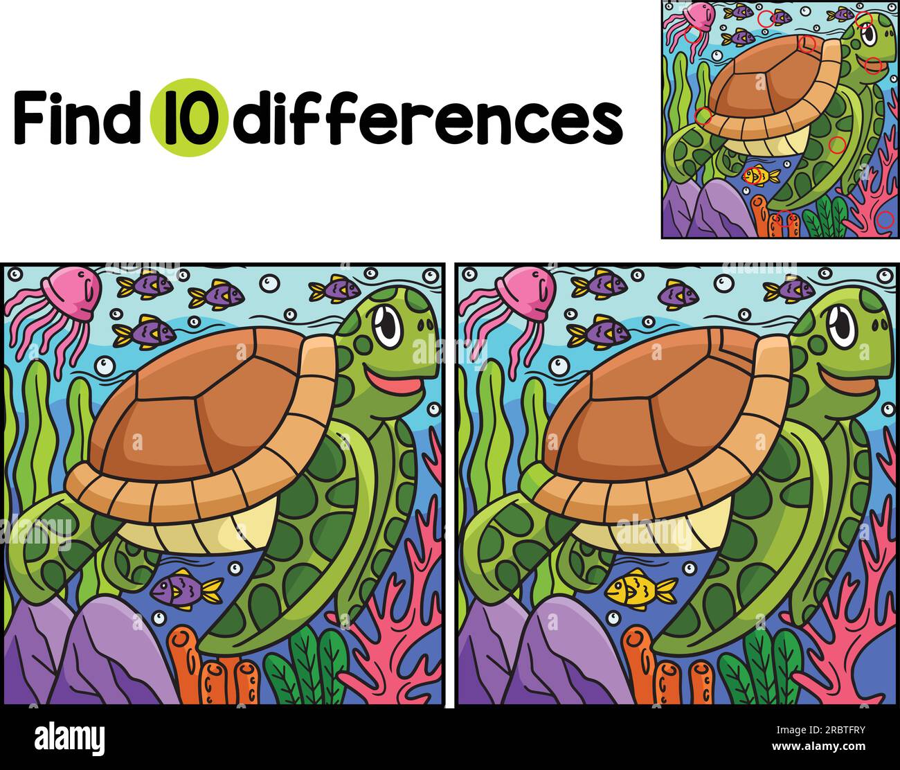 Turtle Animal Find The Differences Stock Vector Image & Art - Alamy
