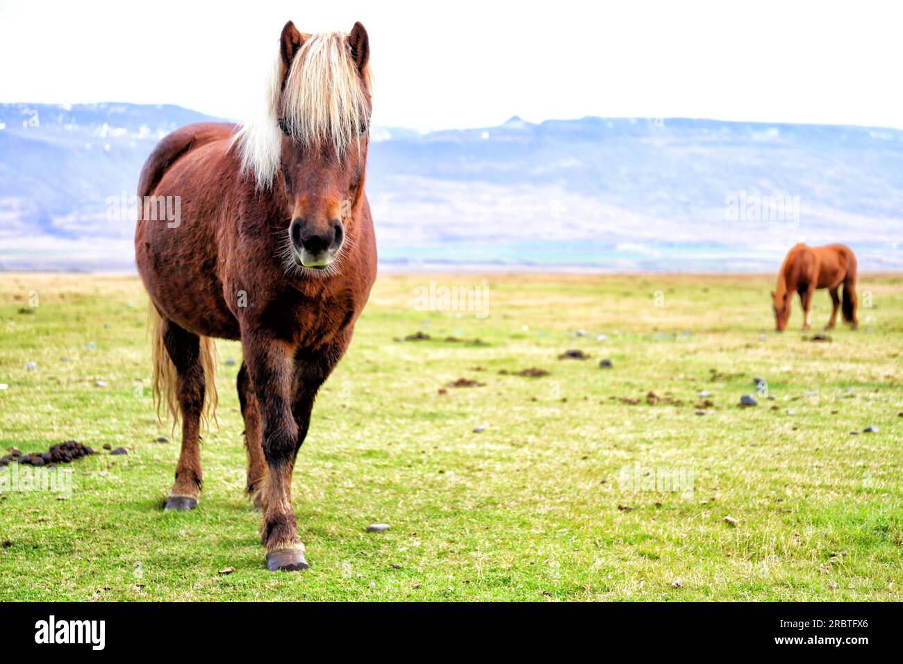 Ring Road - Iceland Stock Photo - Alamy