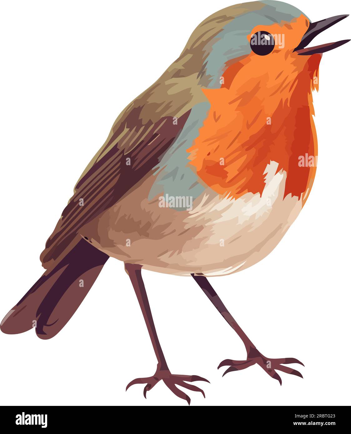 Finch singing Cut Out Stock Images & Pictures - Alamy
