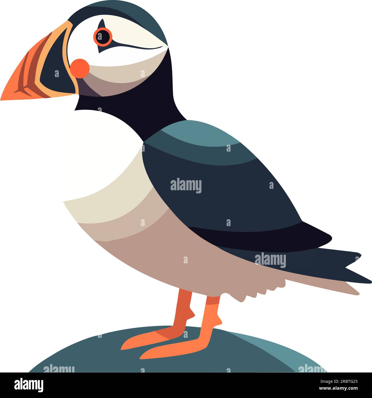 Cute cartoon puffin bird, flat icon Stock Vector Image & Art - Alamy
