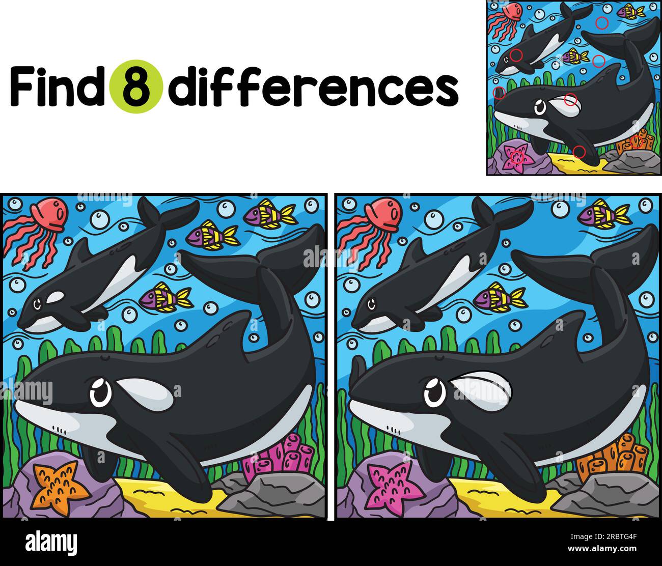 Killer Whale Animal Find The Differences Stock Vector Image & Art - Alamy
