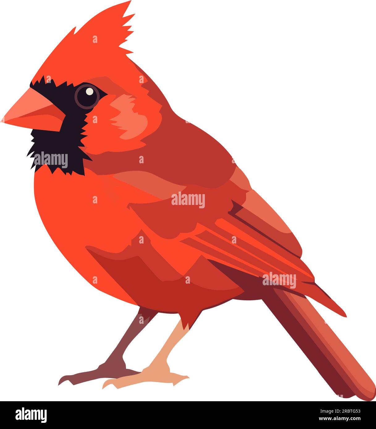 Small red sparrow on white background Stock Vector Image & Art - Alamy