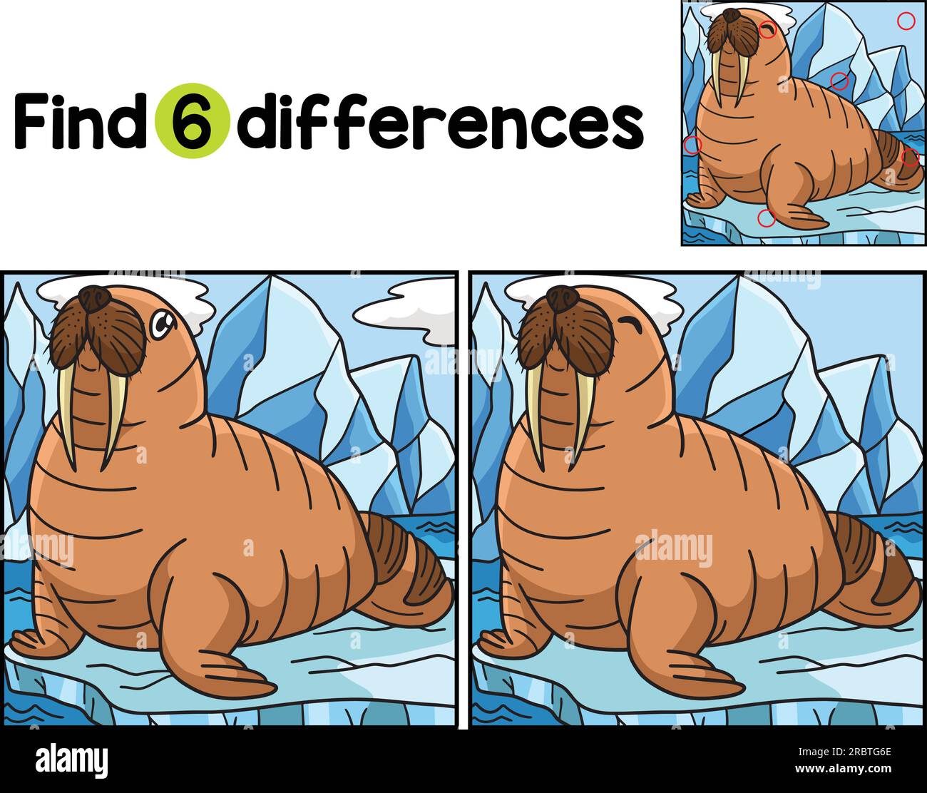 Walrus Animal Find The Differences Stock Vector Image & Art - Alamy