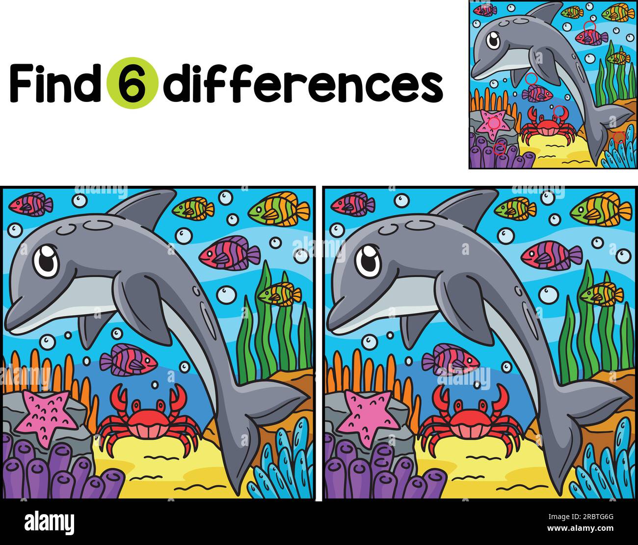 Dolphin Animal Find The Differences Stock Vector Image & Art - Alamy