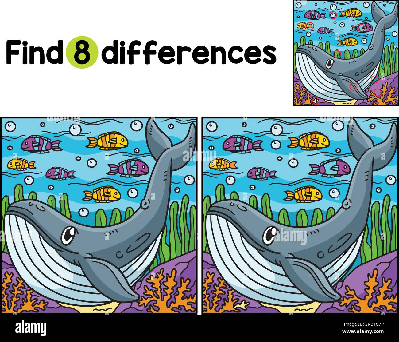 Blue Whale Animal Find The Differences Stock Vector Image & Art - Alamy