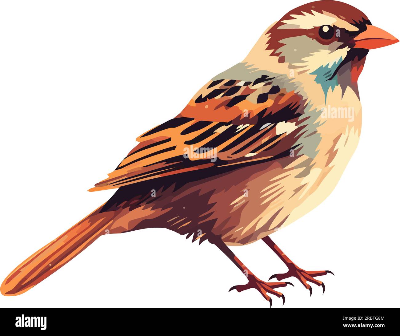 Sparrow bird perching on Cut Out Stock Images & Pictures - Alamy