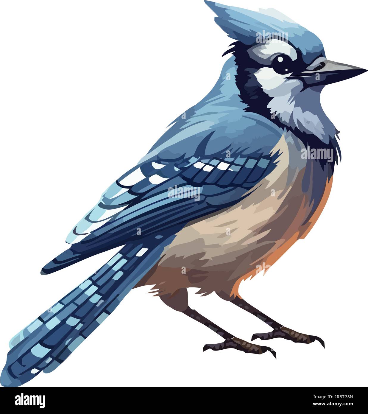 Cute blue jay bird animal icon Stock Vector Image & Art - Alamy