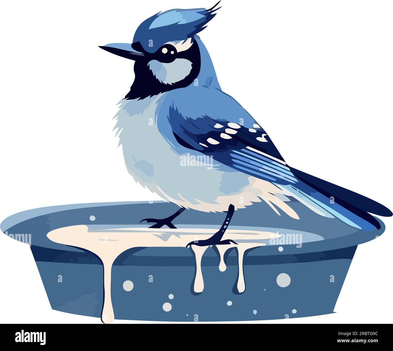 Cute Blue Jay Bird Drawing
