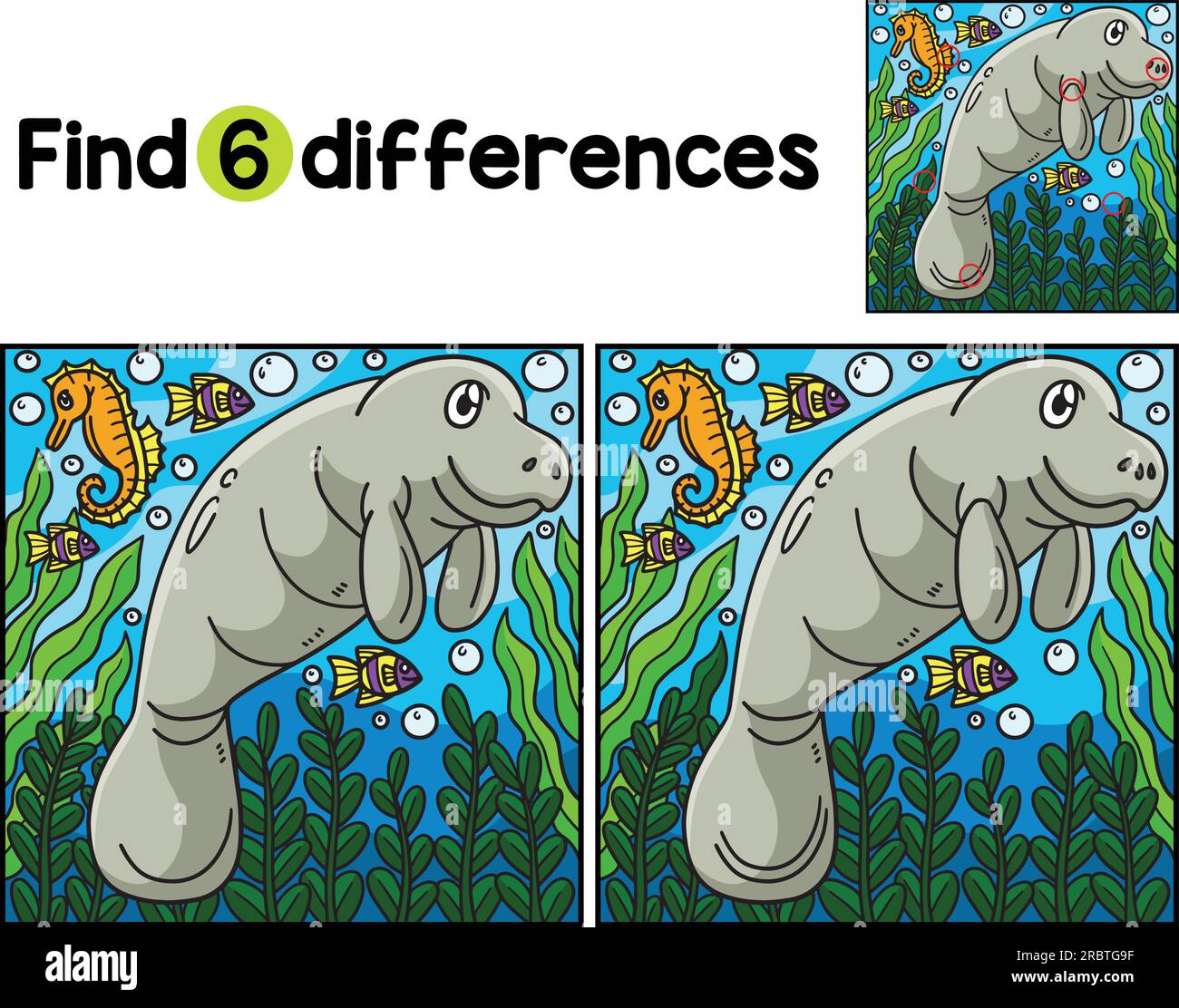 Manatee Animal Find The Differences Stock Vector Image & Art - Alamy