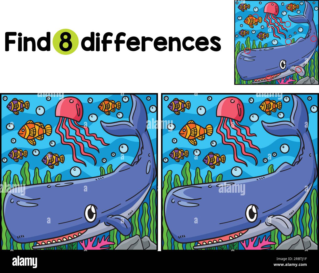 Sperm Whale Animal Find The Differences Stock Vector Image & Art - Alamy