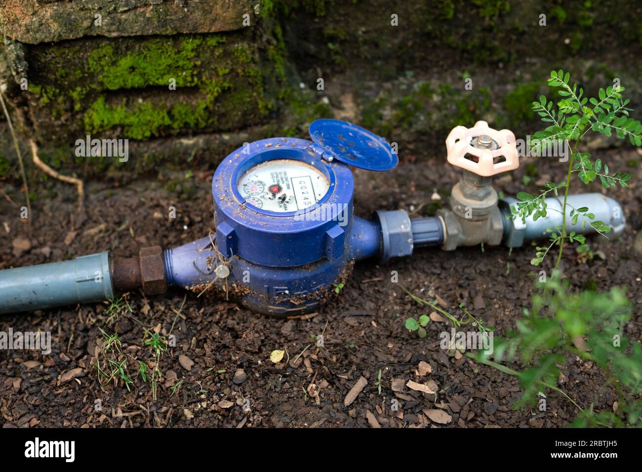 Pdam hi-res stock photography and images - Alamy