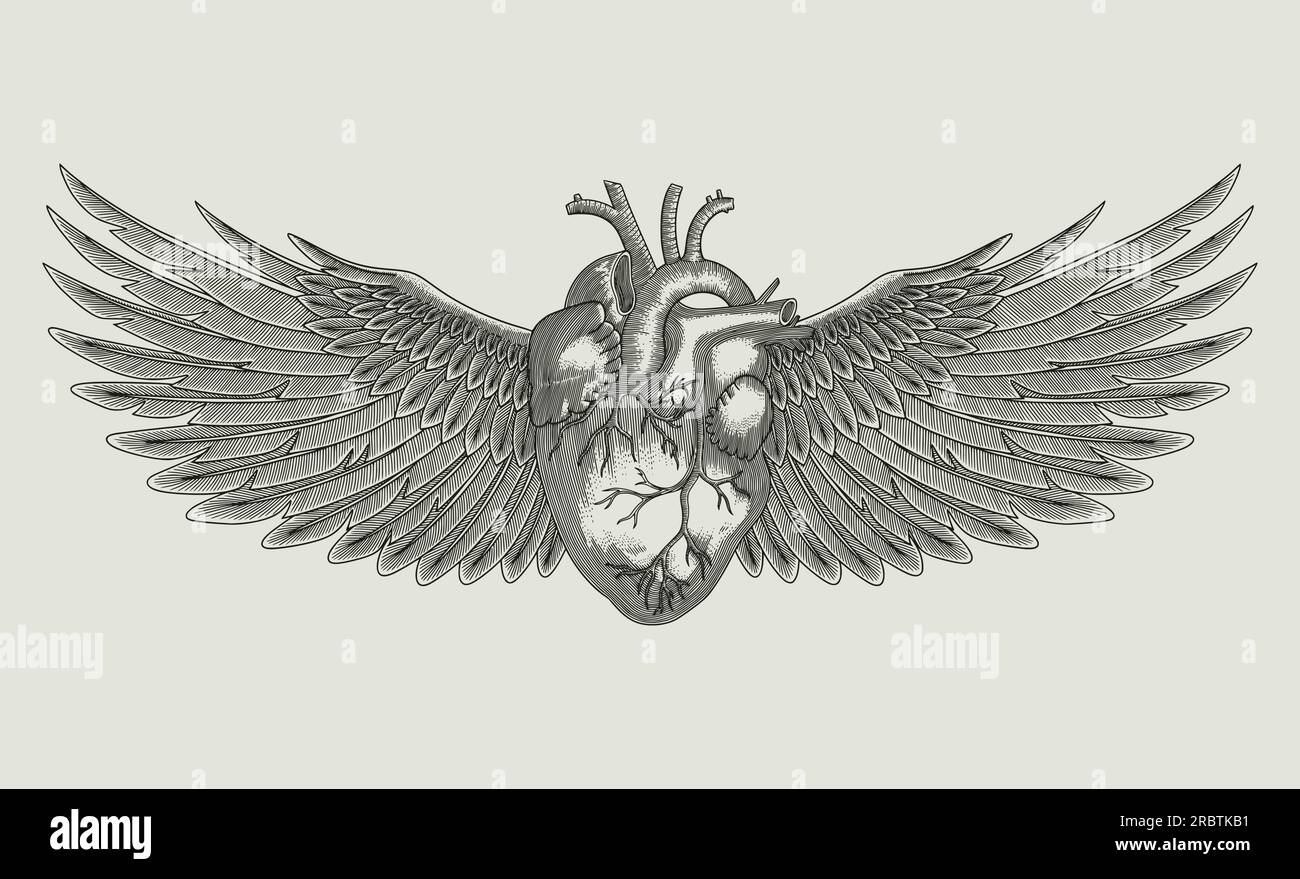 heart with angel wings, Vector vintage engraving style illustration ...