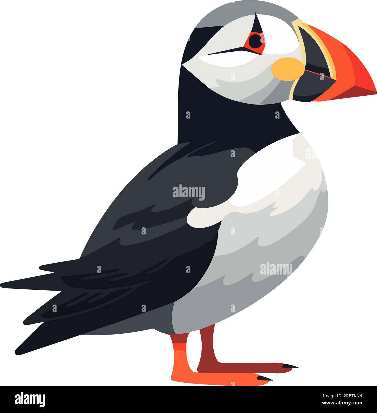 Cute puffin bird, vector isolated Stock Vector Image & Art - Alamy