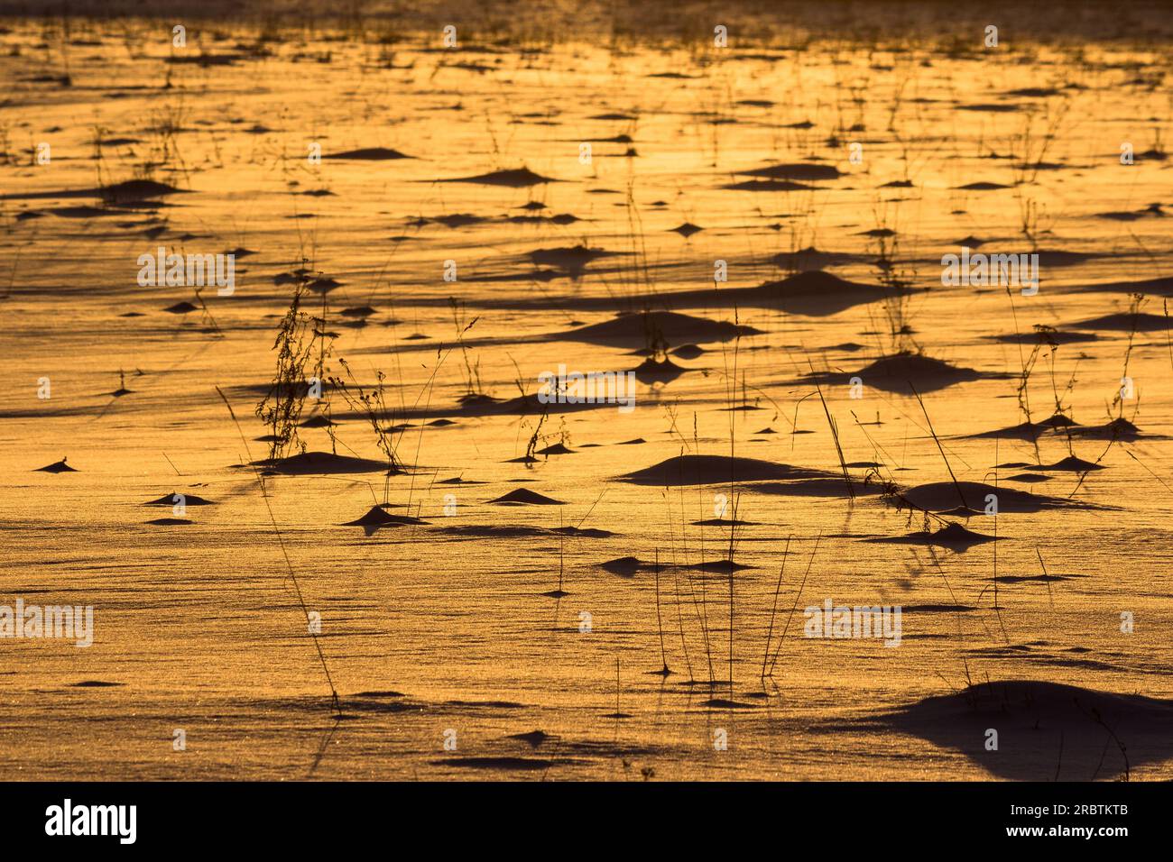 Winter evening landscape hi-res stock photography and images - Alamy