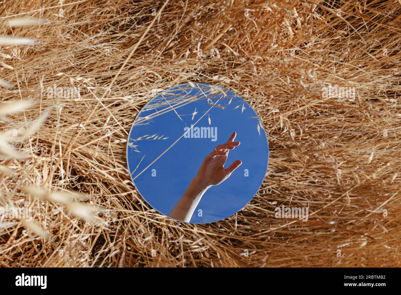 Woman's hand reflecting in a mirror among dry grass, abstract creative ...