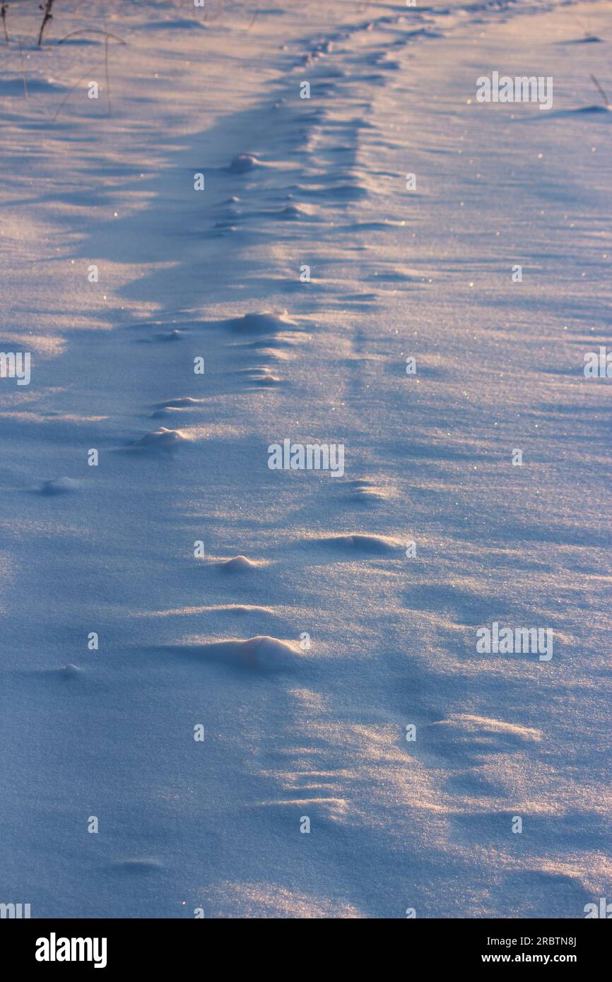 Lumps and bumps hi-res stock photography and images - Alamy