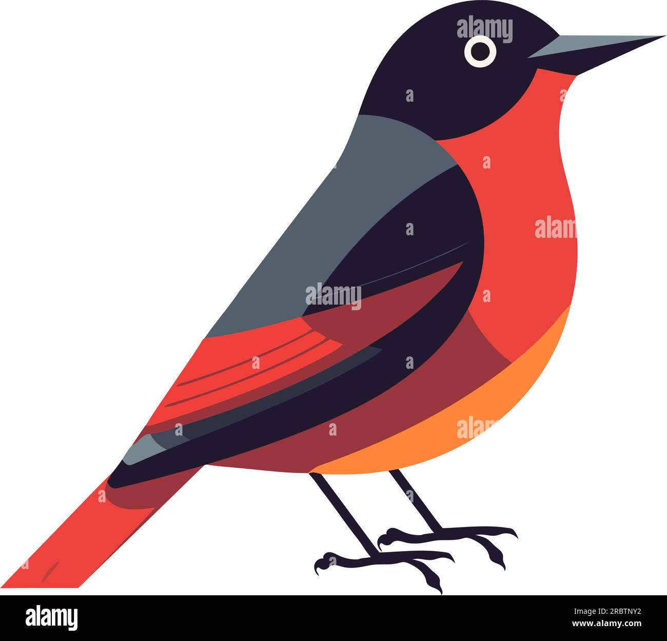 Cute finch bird red feather icon Stock Vector Image & Art - Alamy