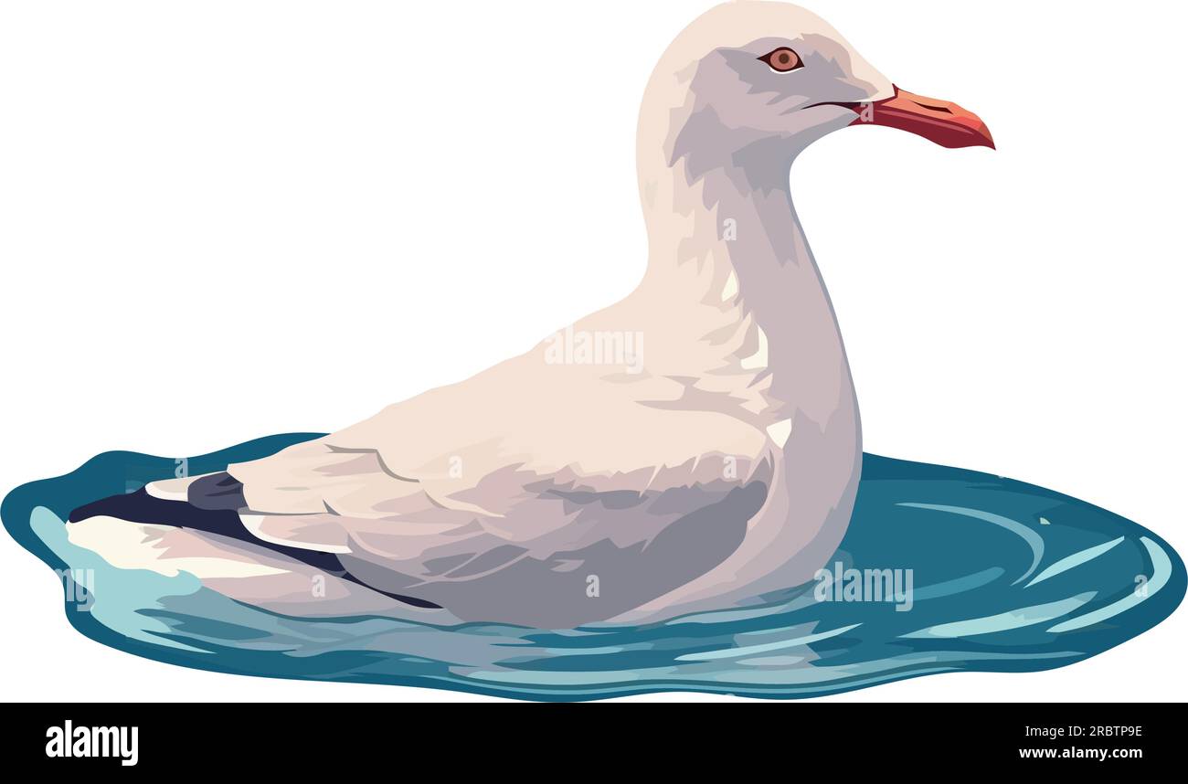 Flying seagull over fishing Stock Vector Images - Alamy