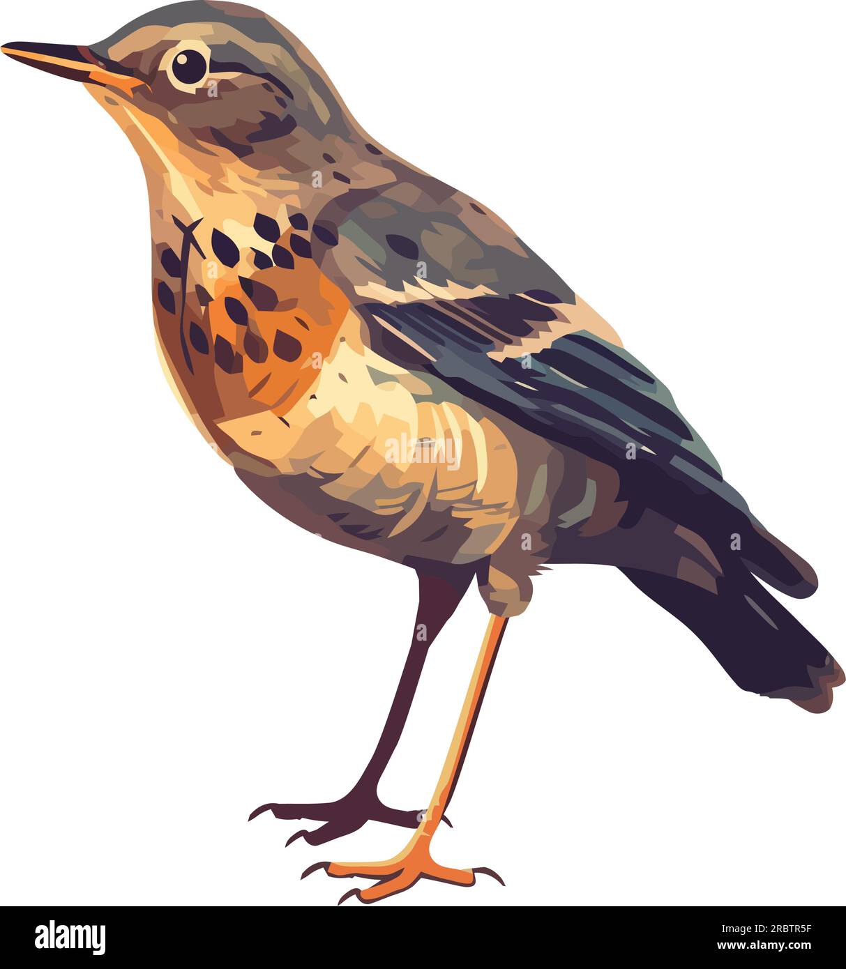 Perching birdwatching Stock Vector Images - Alamy