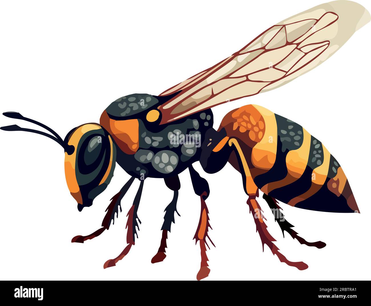Big wasp design Stock Vector Image & Art - Alamy