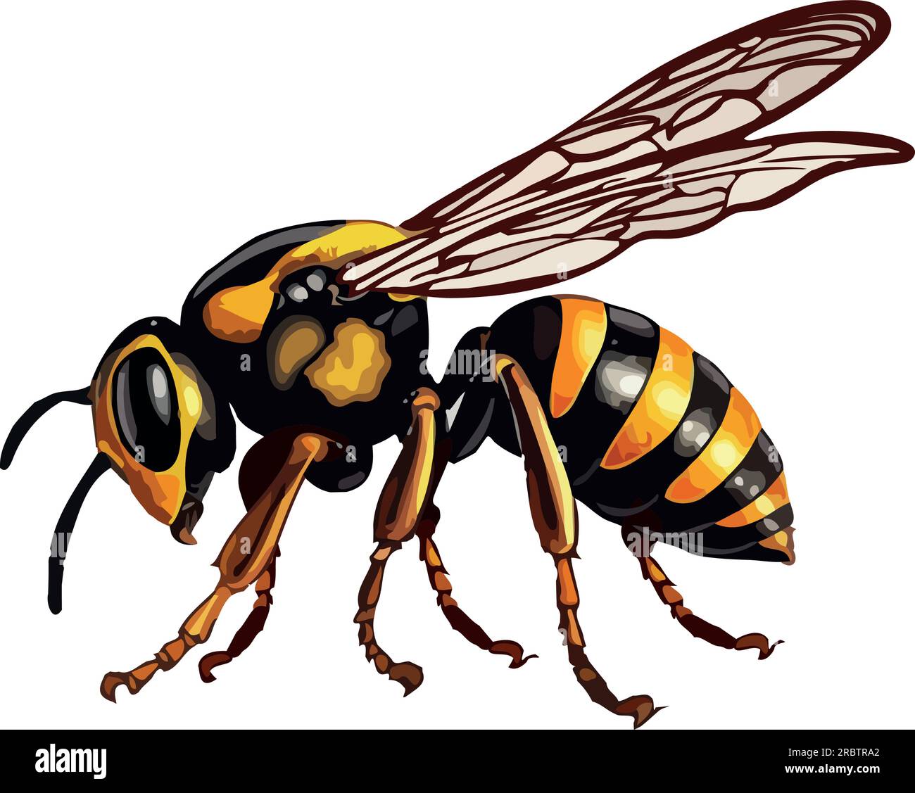 Ant colony activity Stock Vector Images - Alamy