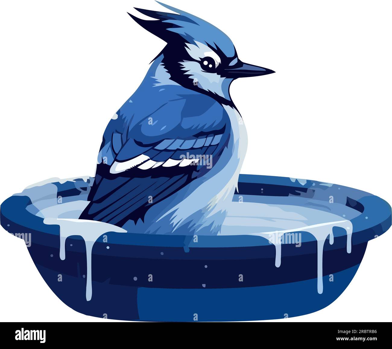 Cute blue jay in water isolated design Stock Vector Image & Art - Alamy