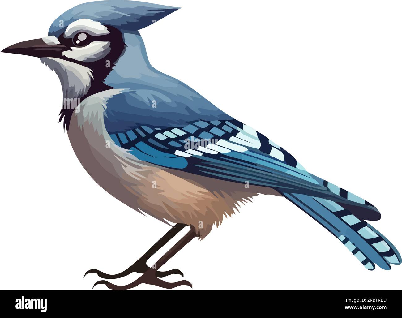 Bird ruffled feathers Stock Vector Images - Alamy