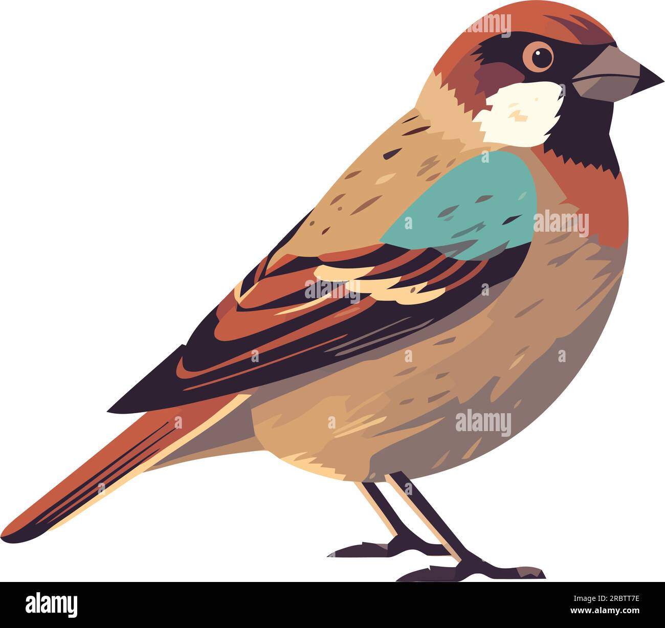 Cute finch perching on white backdrop Stock Vector Image & Art - Alamy