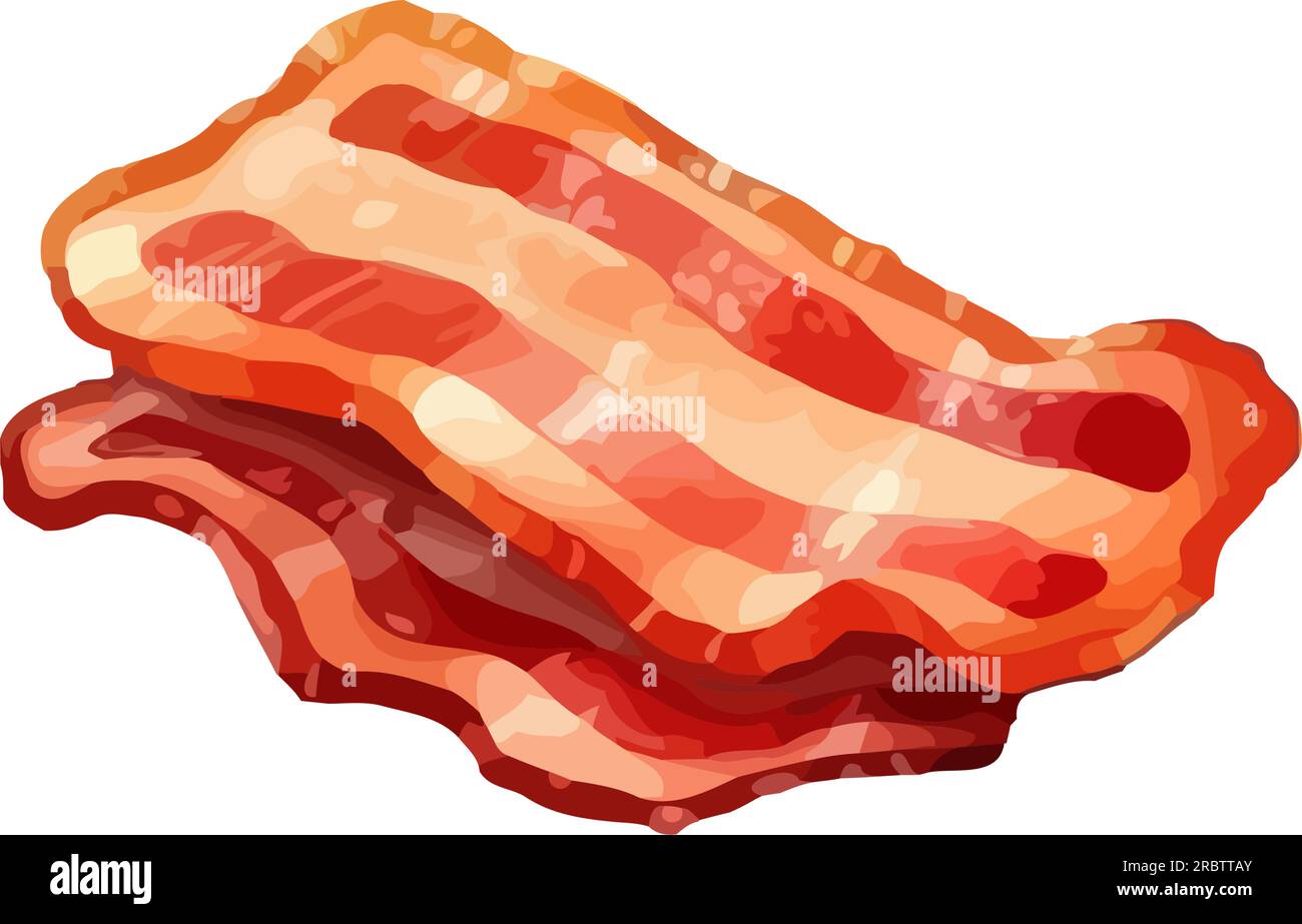 Gourmet bacon meal cooked on white backdrop Stock Vector Image & Art ...