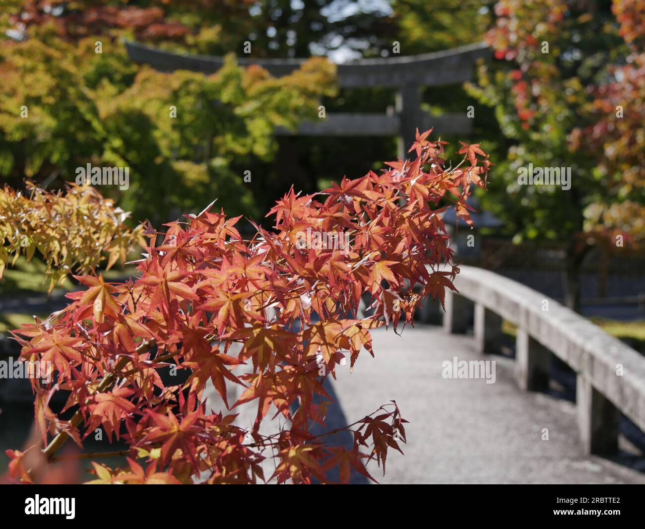 Momiji gare hi-res stock photography and images - Alamy