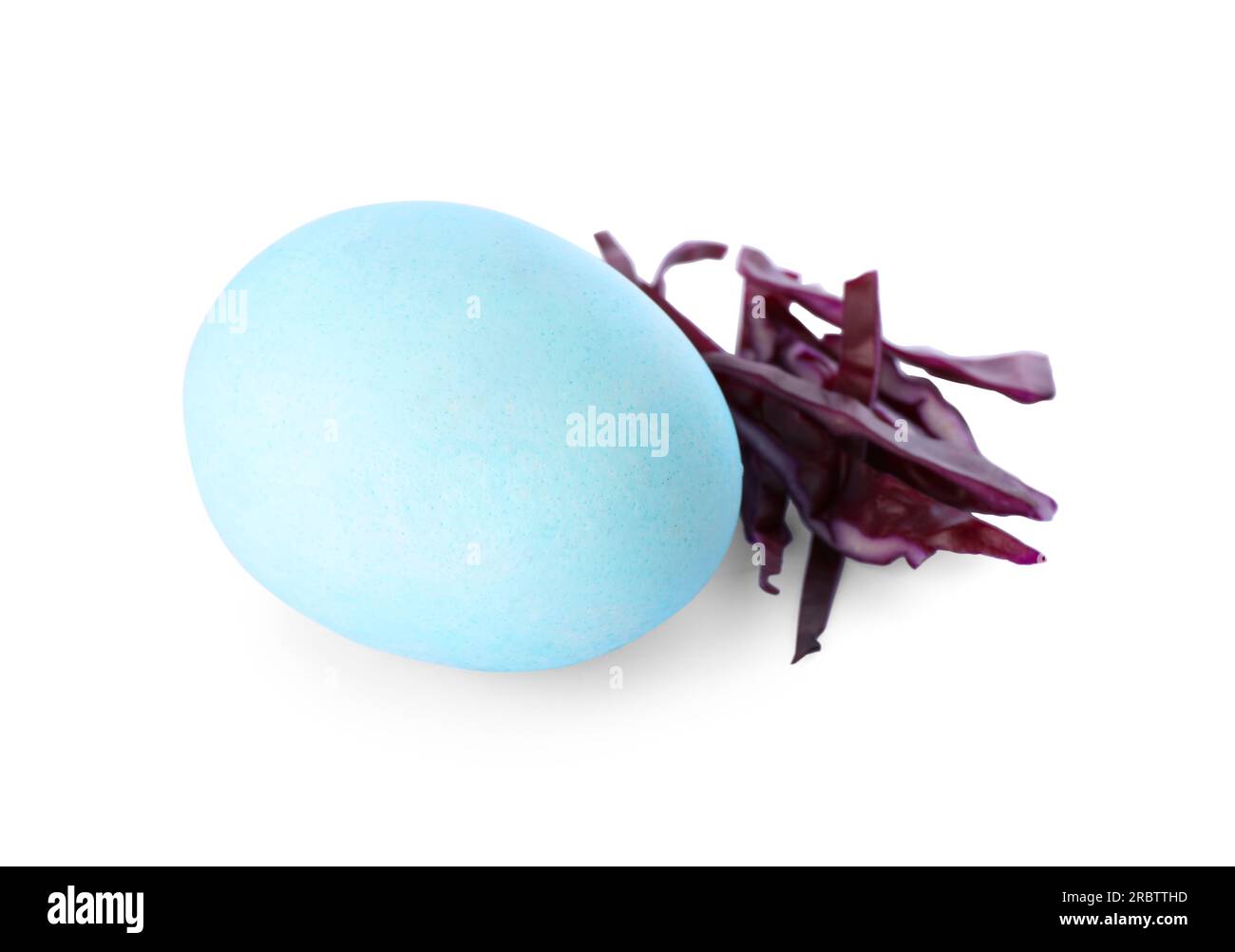 Light blue Easter egg painted with natural dye and red shredded cabbage ...