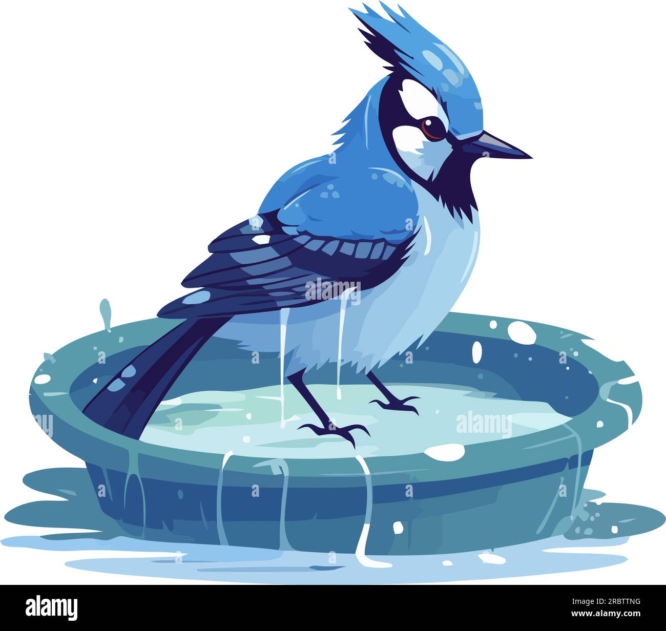 Cute blue jay water, isolated Stock Vector Image & Art - Alamy