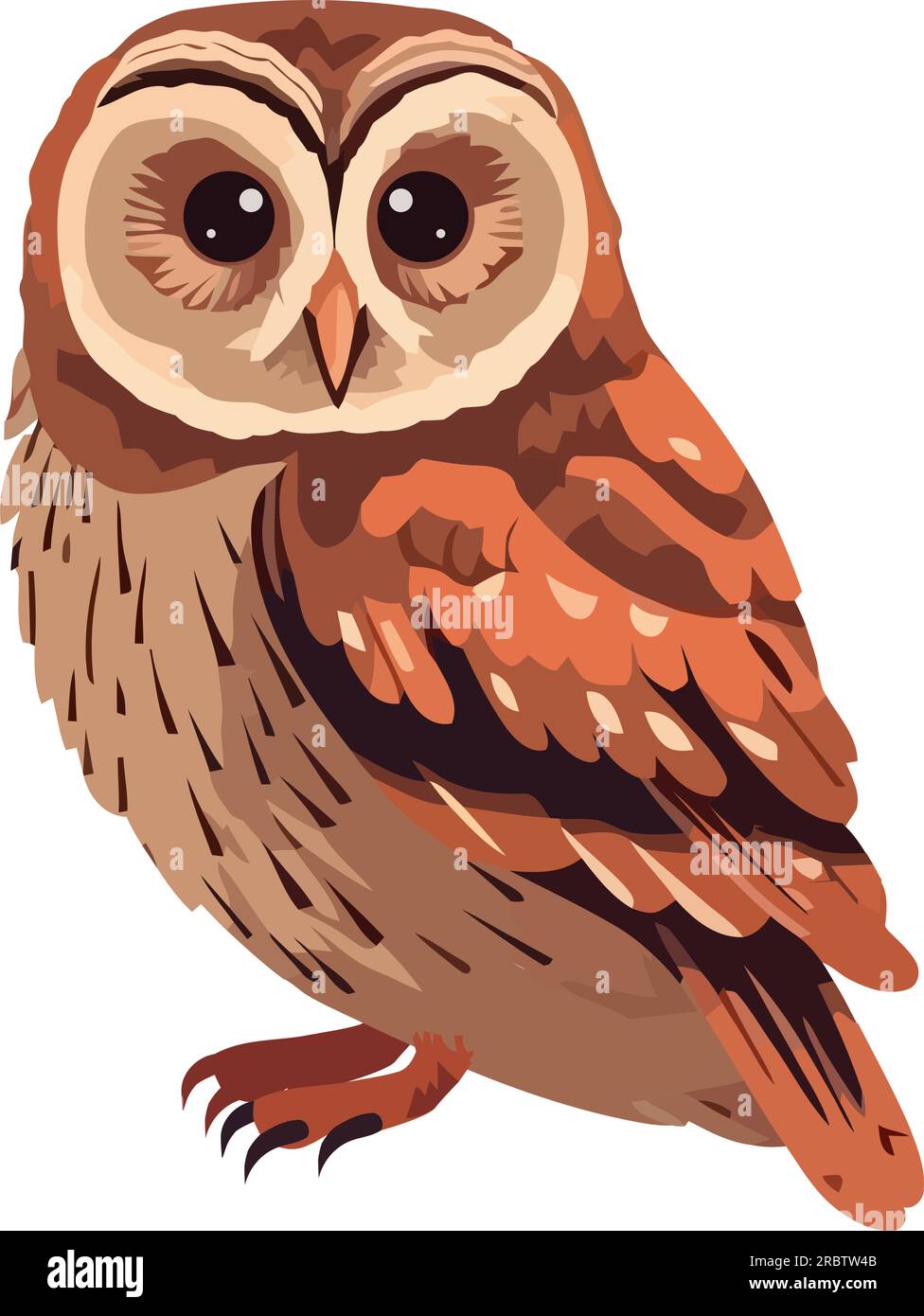 Cute cartoon eagle owl with sharp beak Stock Vector Image & Art - Alamy