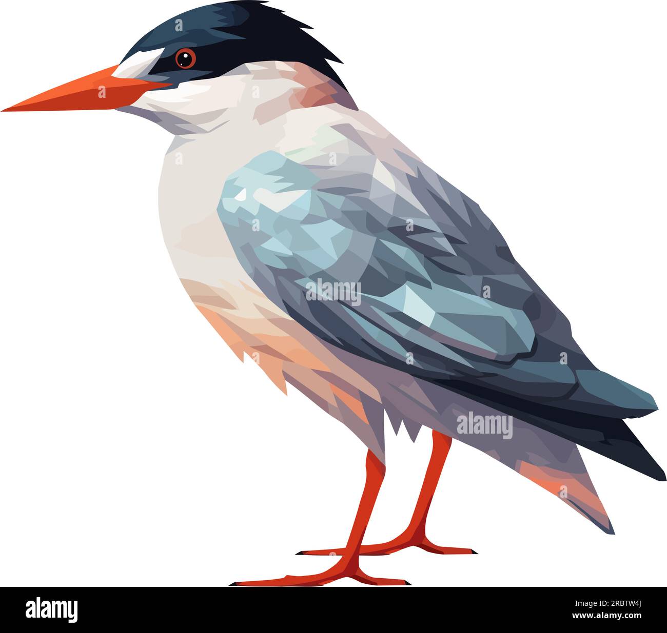 Parrot perched Stock Vector Images - Alamy