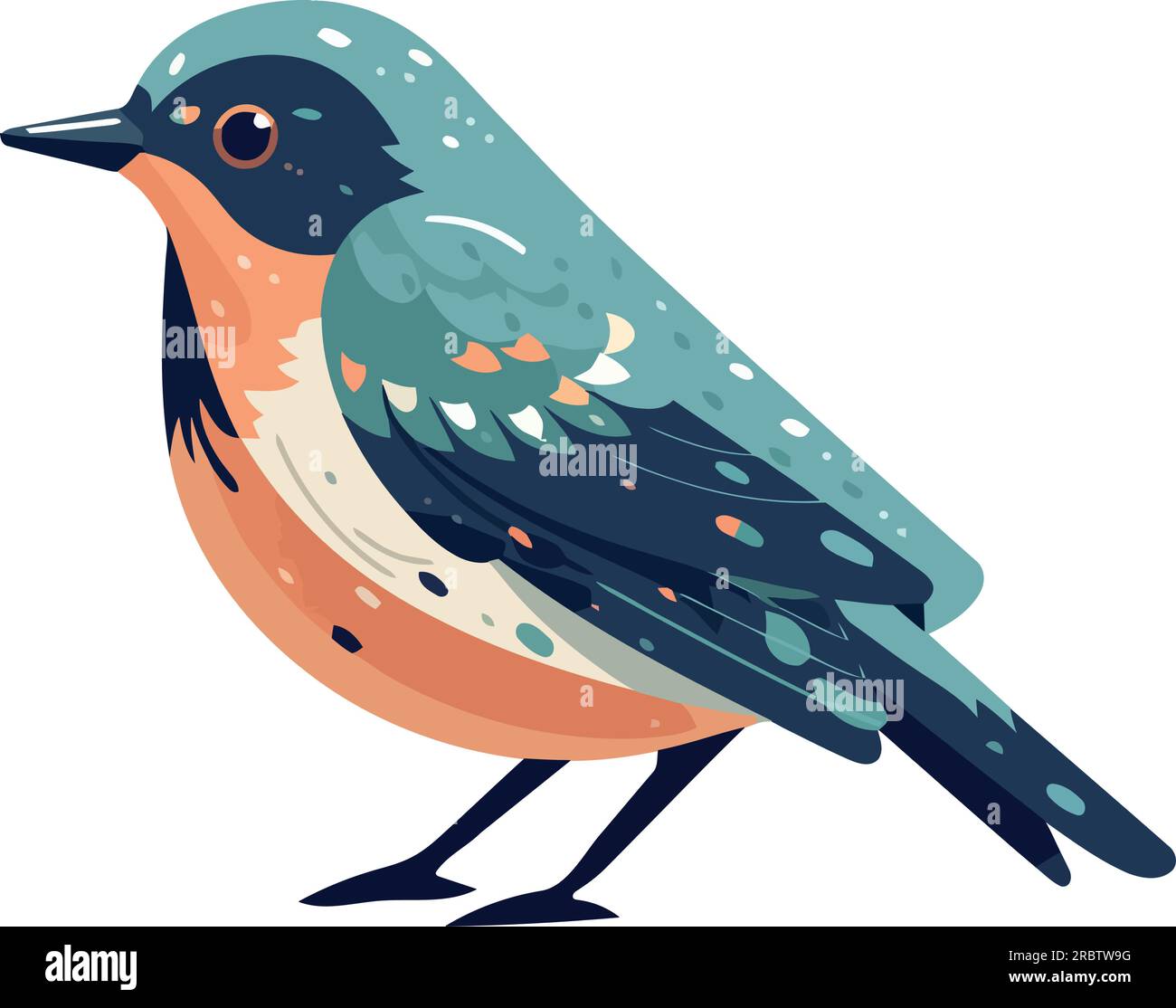 Cute bird illustration Stock Vector Image & Art - Alamy
