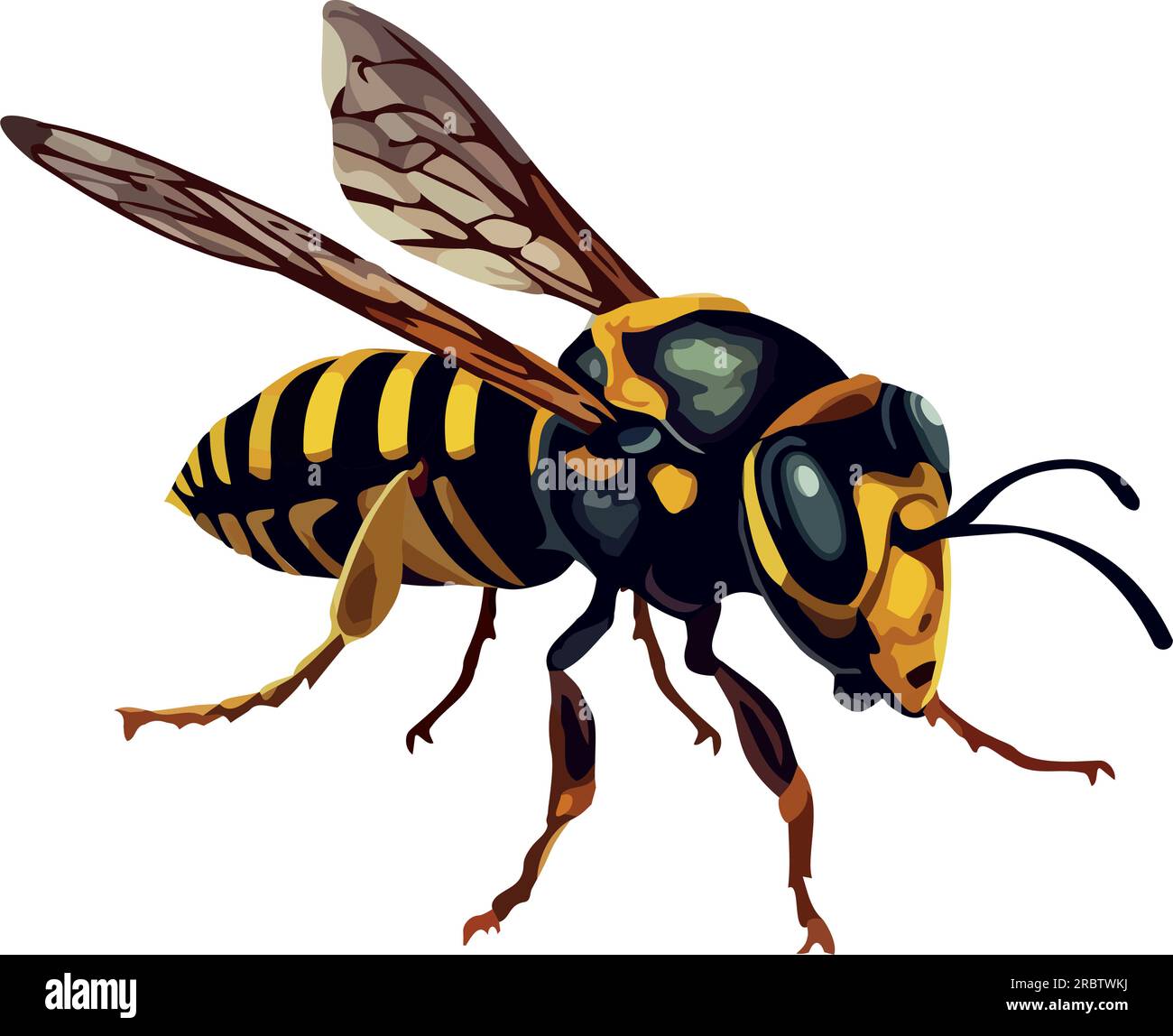 Busy bee pollinates Stock Vector Image & Art - Alamy