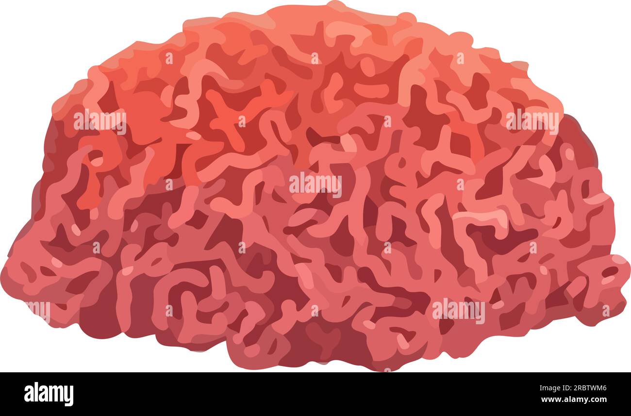 ground meat ingredient fresh icon Stock Vector Image & Art - Alamy