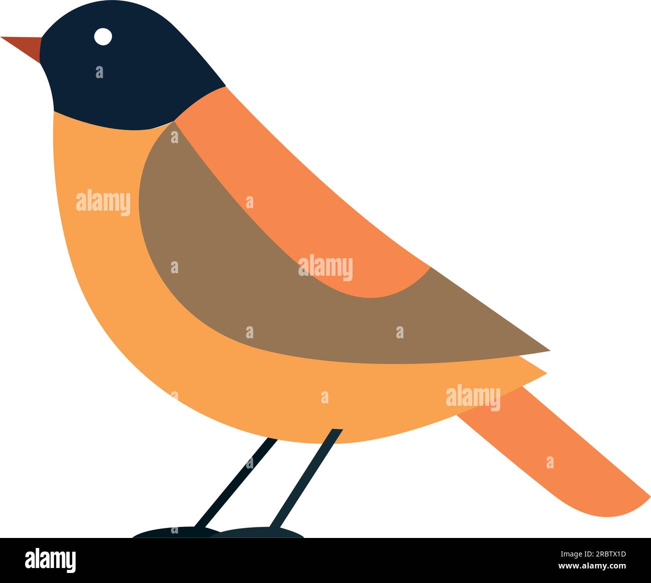 Cute finch with yellow feathers Stock Vector Image & Art - Alamy